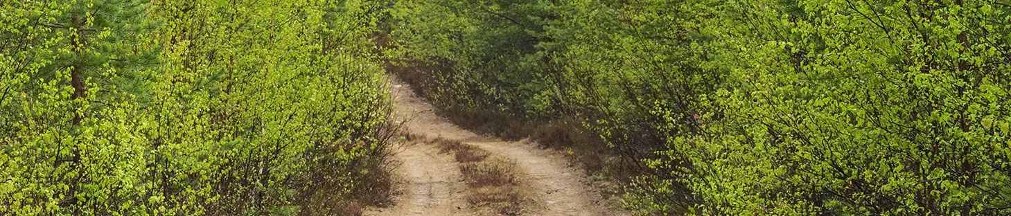 The Adventure Way | Living Magazine