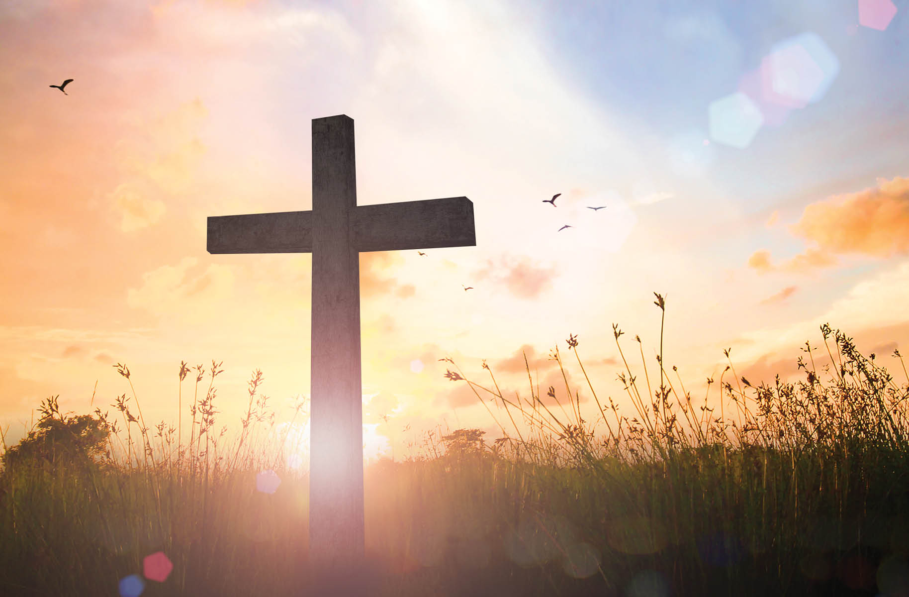 The Power of Grace | Living Magazine