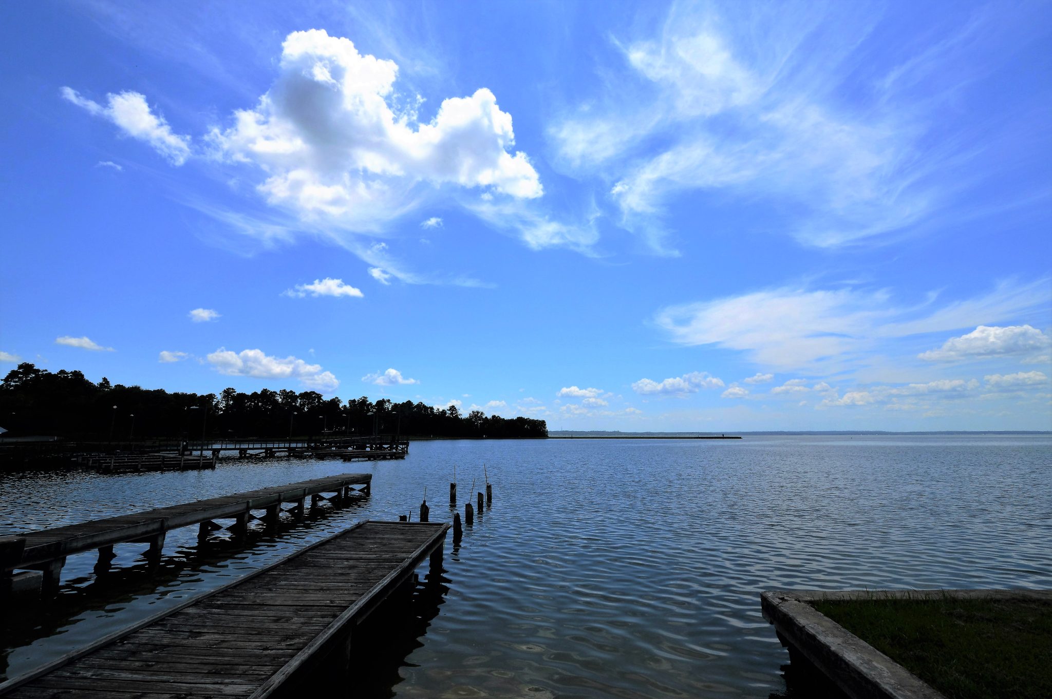 Lake Life