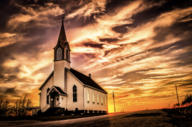 Entwined in Him | Fruit of the Vine | Living Magazine